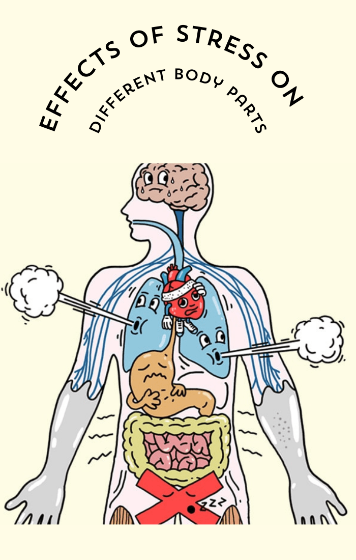 What Can Stress Do to a Woman's Body? Relationship between Women and ...